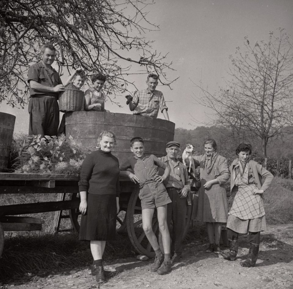 Images de l'Agriculture et de la vie rurale en Grand Est